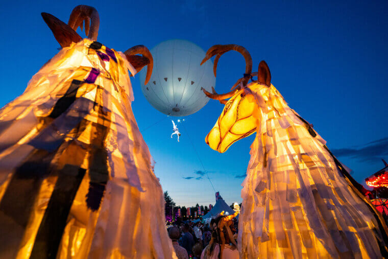 Ghost Caribou - Dorset